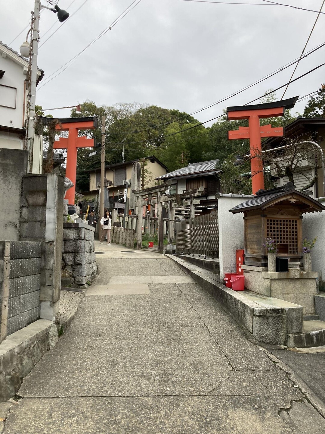 久しぶり〜京都一周トレイル東山コース / keloさんの京都一周トレイルの活動データ | YAMAP / ヤマップ