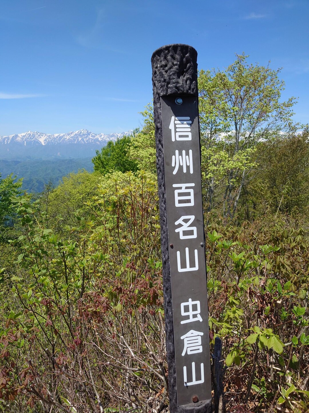 虫倉山 / yone993さんの霧ヶ峰・車山・大笹峰の活動データ | YAMAP / ヤマップ