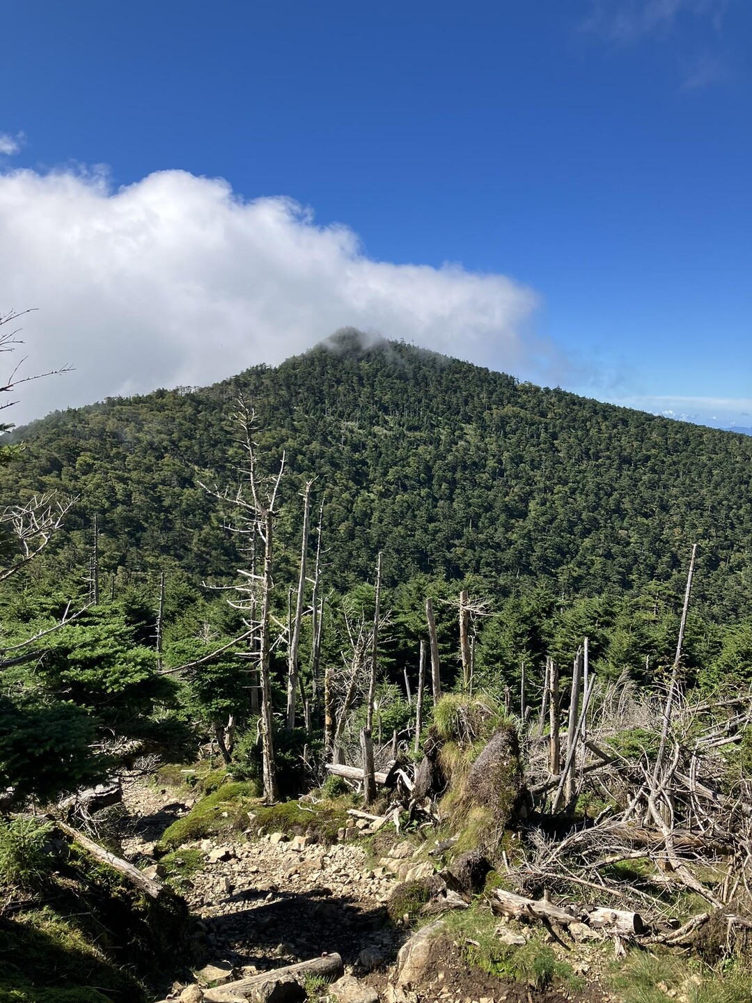 1日2座100名山 大峰山（八経ヶ岳） / GoGo Michiganさんの八経ヶ岳の活動データ | YAMAP / ヤマップ