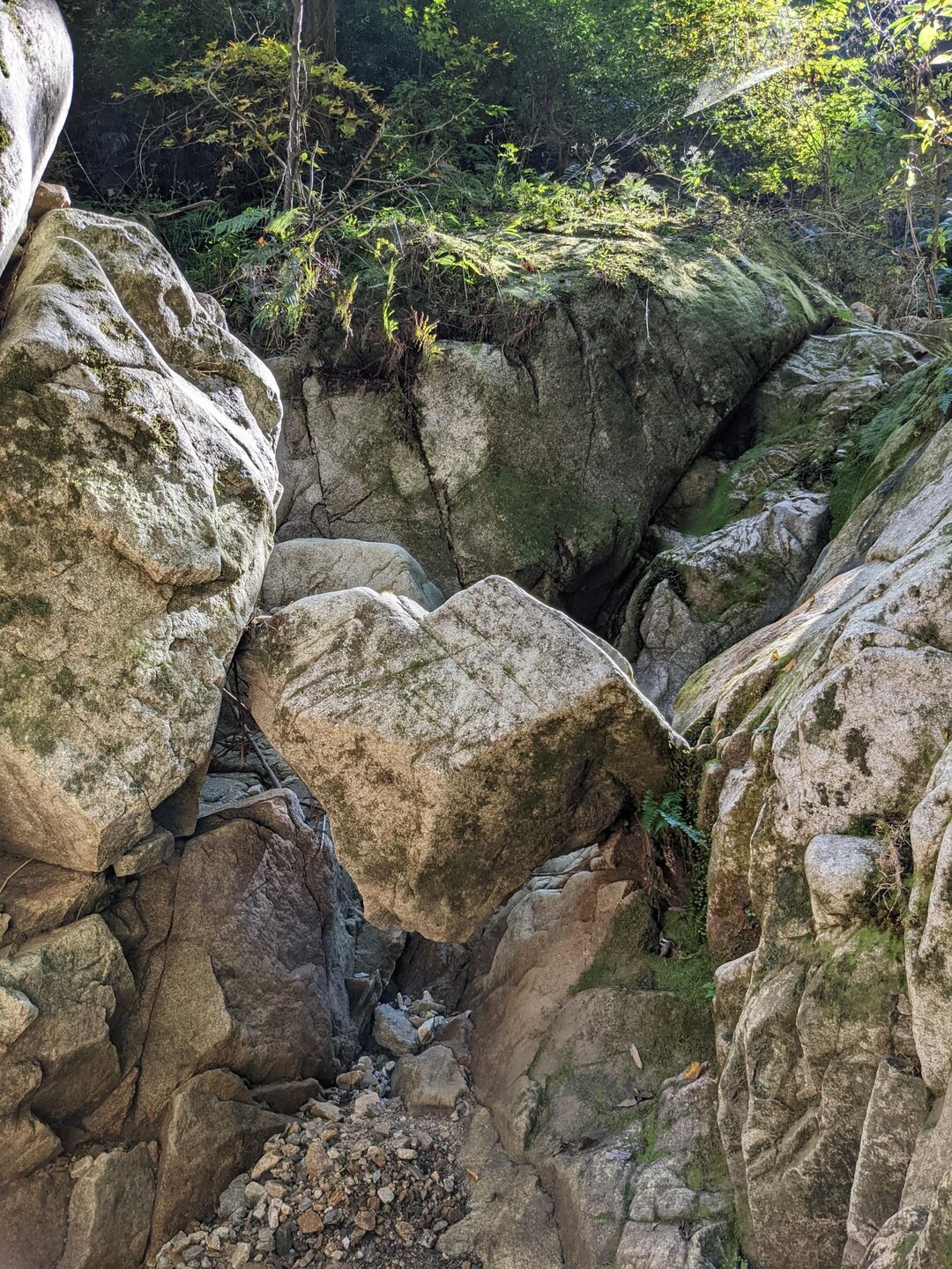 石垣地区 破線ルート探索 / mkhkさんの高良山・発心山・鷹取山の活動データ | YAMAP / ヤマップ