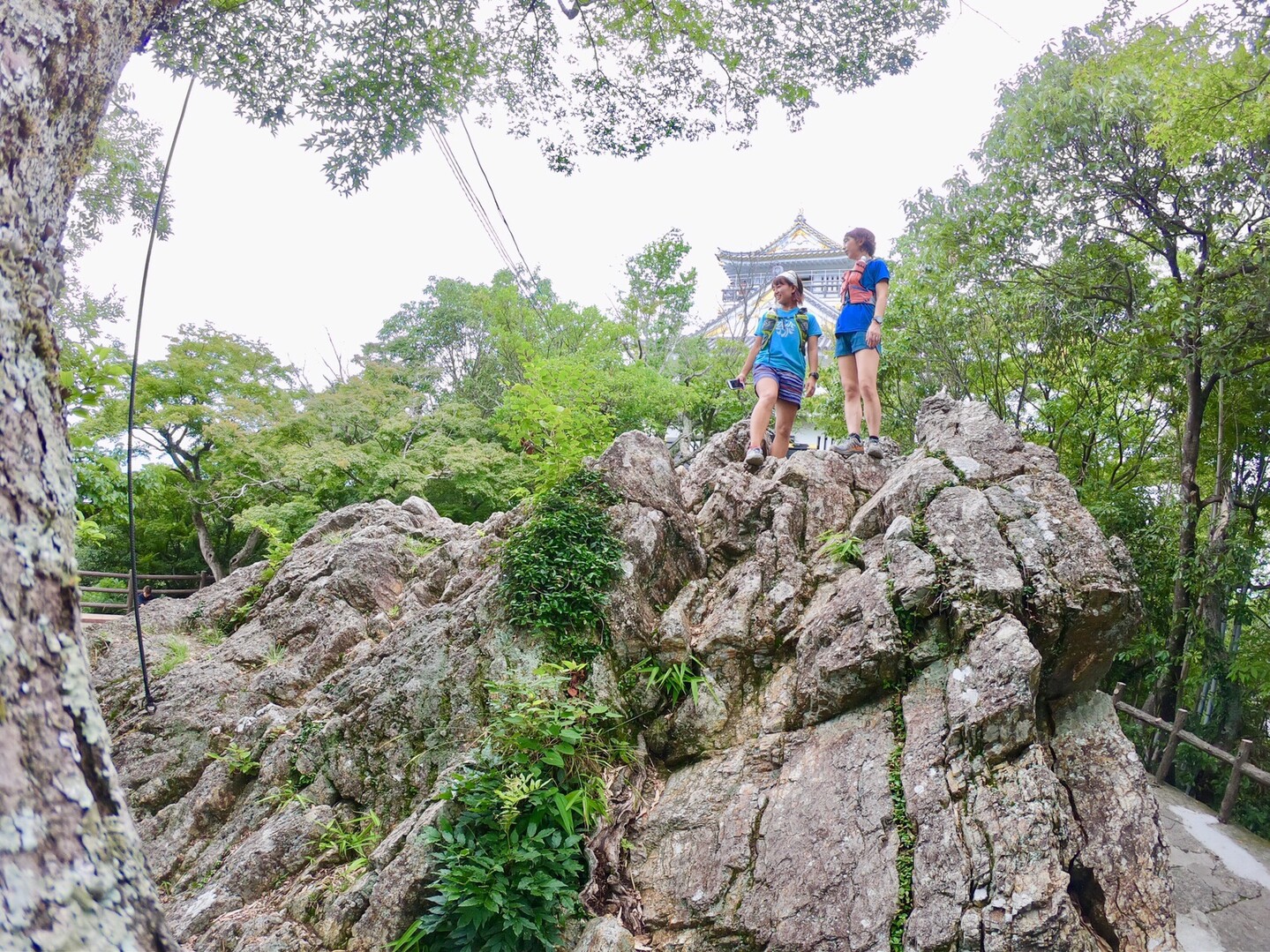金華山(岐阜)・洞山・舟伏山-2019-07-13 / shihoさんの金華山・洞山・舟伏山の活動データ | YAMAP / ヤマップ