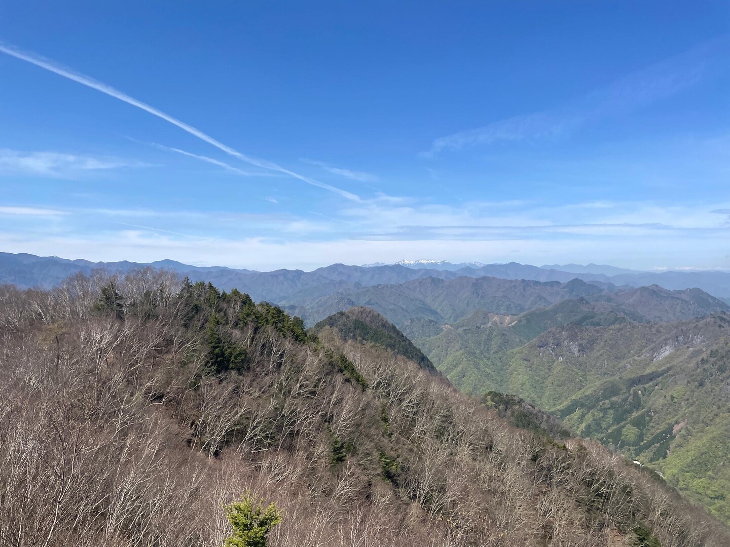 両神山 白井差新道 / megさんの両神山・諏訪山・二子山の活動データ | YAMAP / ヤマップ