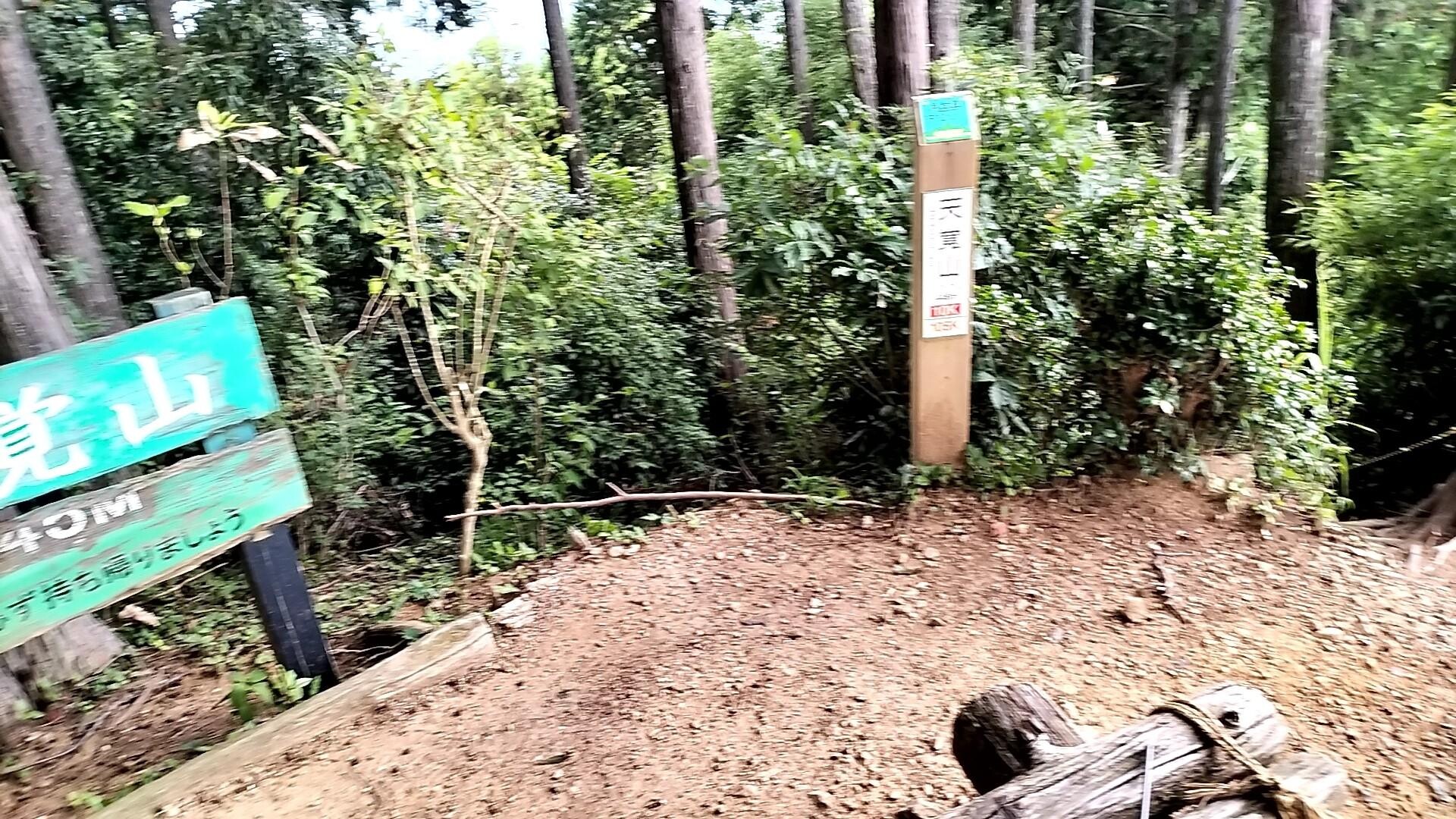 230821 飯能 天覚山・大高山 / yocchiさんのヤマノススメ巡礼マップ（天覚山・大高山・子の権現）の活動データ | YAMAP / ヤマップ