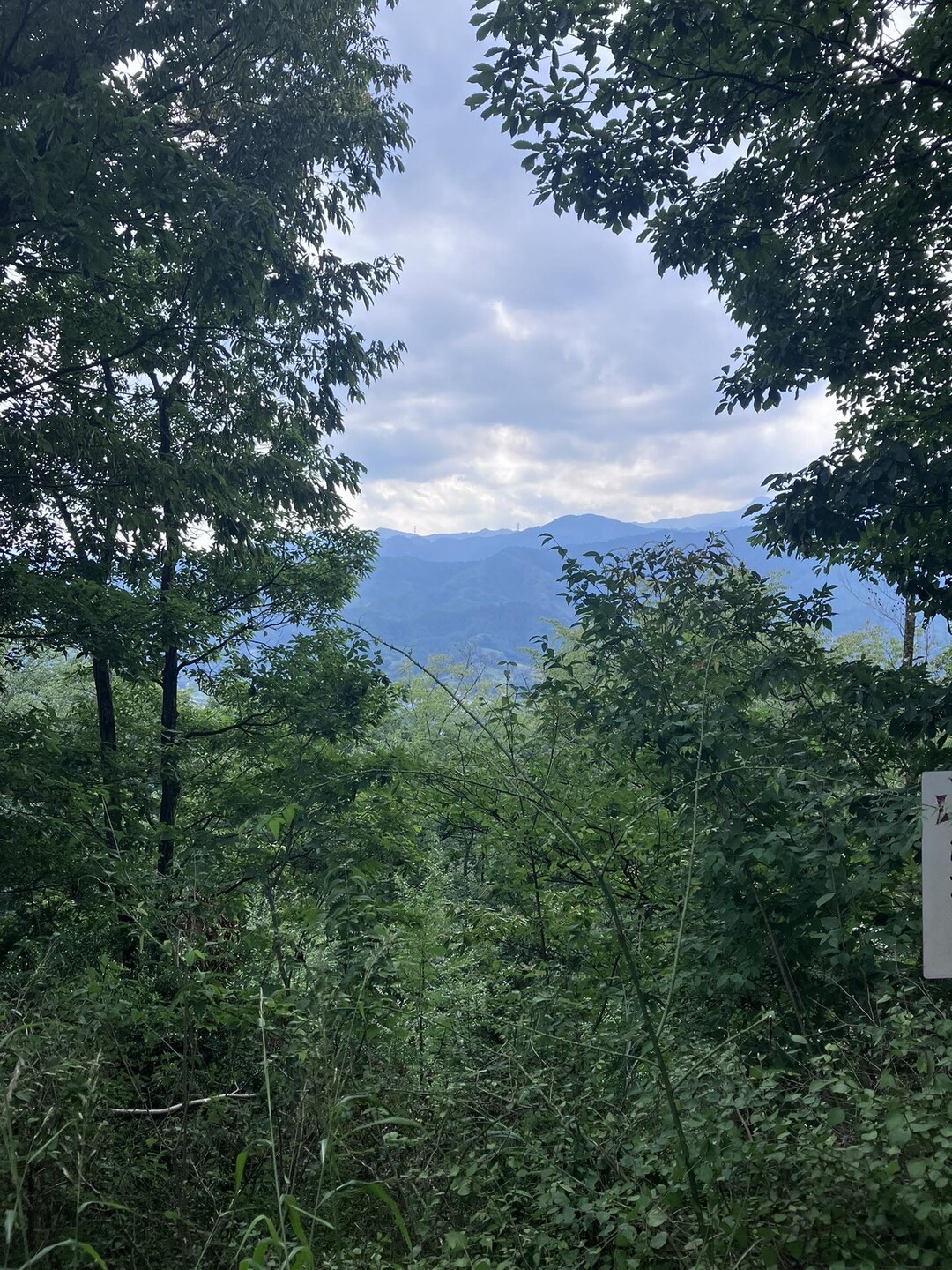 雷電山・辛垣山・物見山・マスガタ山・三方山・矢倉台 / tmkさんの高水山・岩茸石山・惣岳山の活動データ | YAMAP / ヤマップ