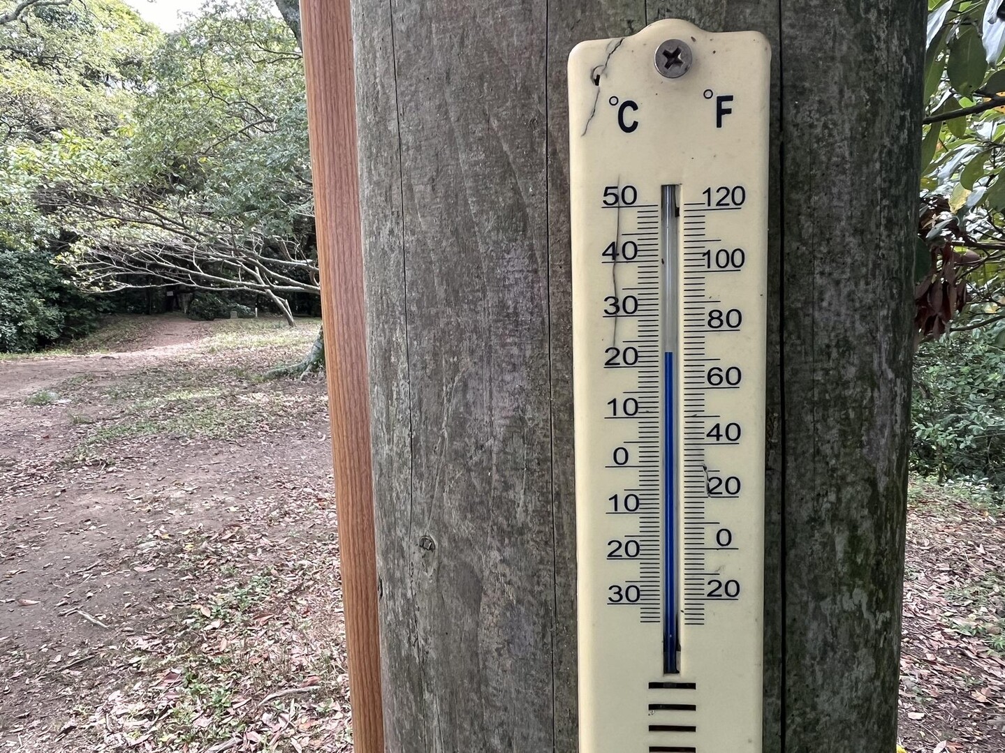 登ってる時はまだ汗びっしょり、山頂は随分... / hirajunさんのモーメント | YAMAP / ヤマップ