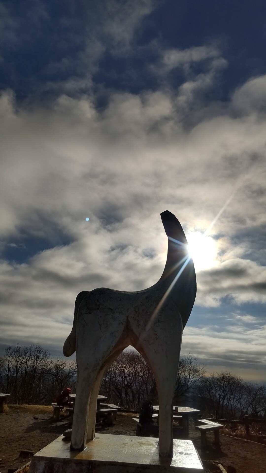 MORI-Pのページ | YAMAP / ヤマップ