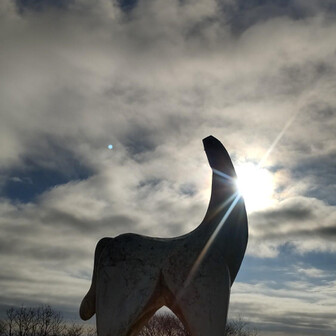 MORI-Pのページ | YAMAP / ヤマップ