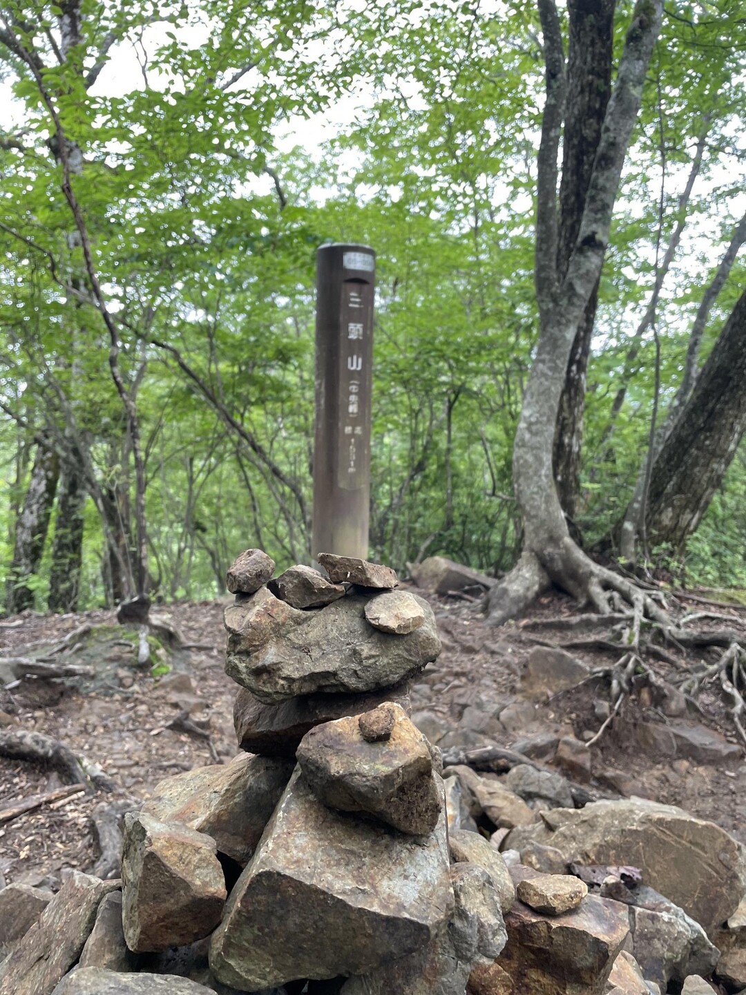 三頭山 / La Rayaさんの三頭山・槇寄山・土俵岳の活動データ | YAMAP / ヤマップ