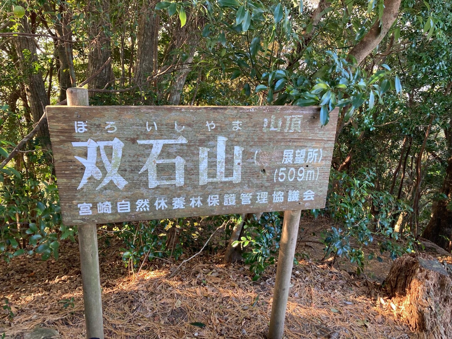 双石山 / mini98Dさんの双石山・花切山・岩壺山の活動データ | YAMAP / ヤマップ