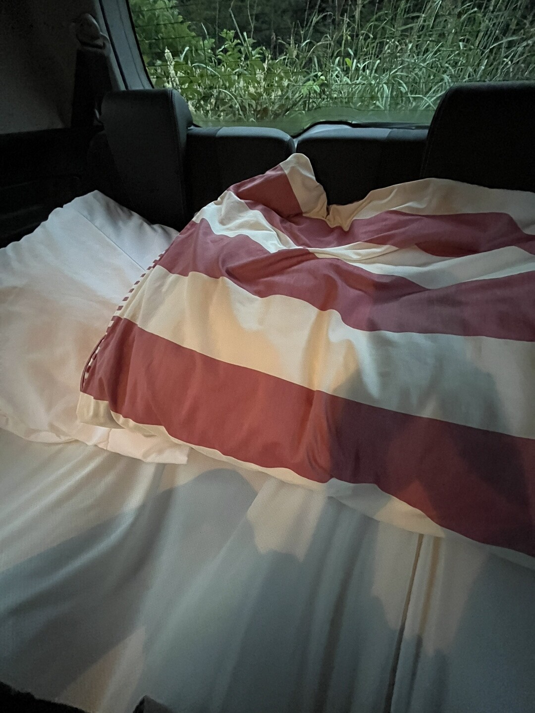 おはよう御座います☺️ 車中泊快適でした... / kaoruさんのモーメント | YAMAP / ヤマップ