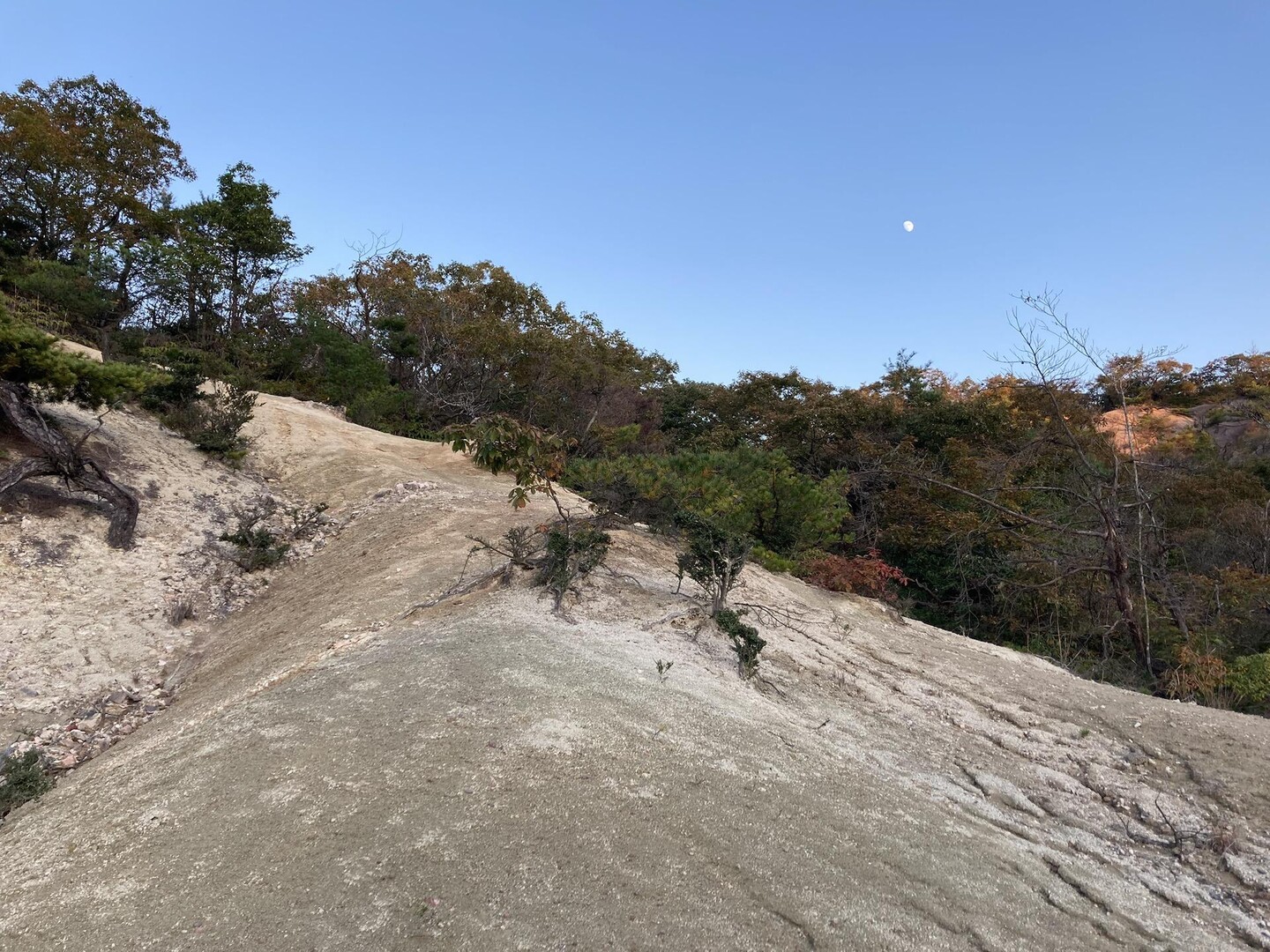 丸山 / kohtaさんの羽束山の活動データ | YAMAP / ヤマップ