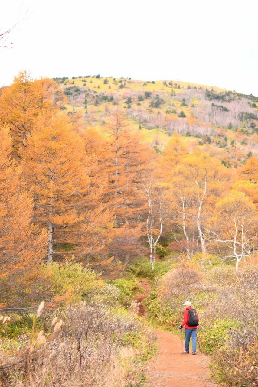 秋ですね 湯ノ丸山🙌 / take2さんの湯ノ丸山・角間山・鍋蓋山の活動日記 | YAMAP / ヤマップ