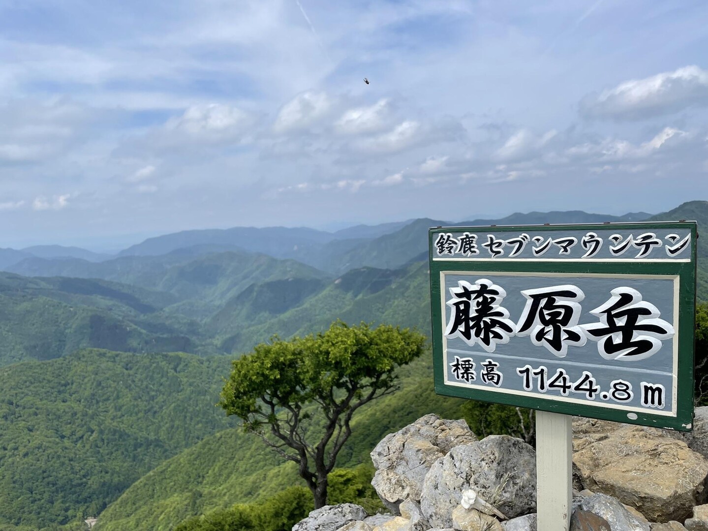 藤原岳・天狗岩 / HALさんの藤原岳・御池岳の活動データ | YAMAP / ヤマップ