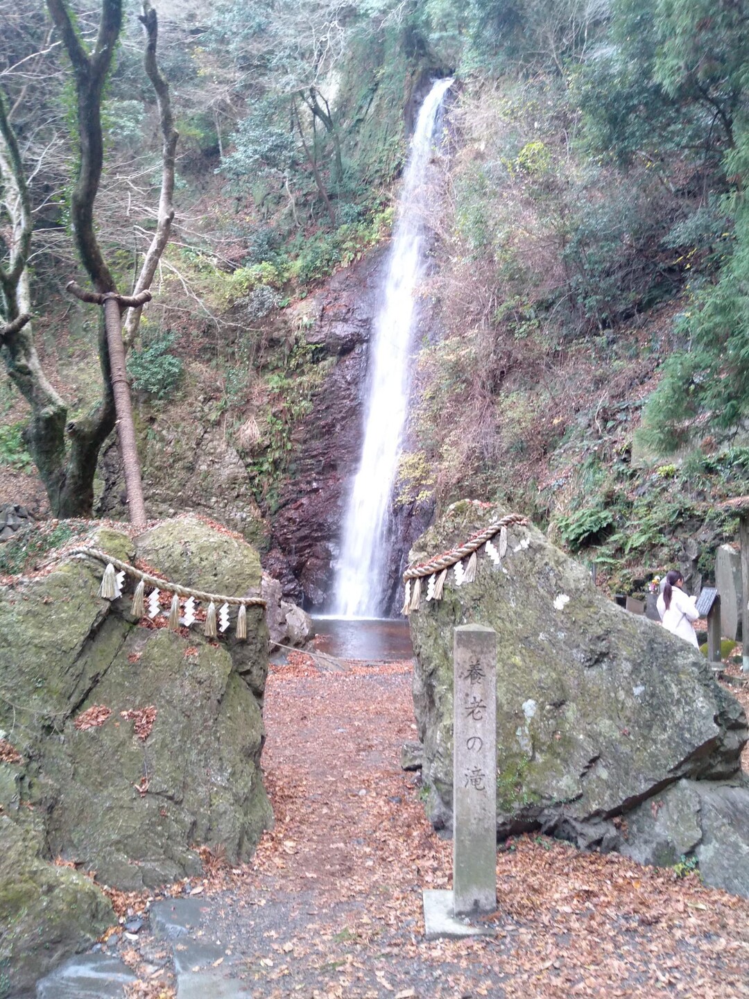 三方山 / AHさんの養老山・笙ヶ岳・三方山の活動データ | YAMAP / ヤマップ