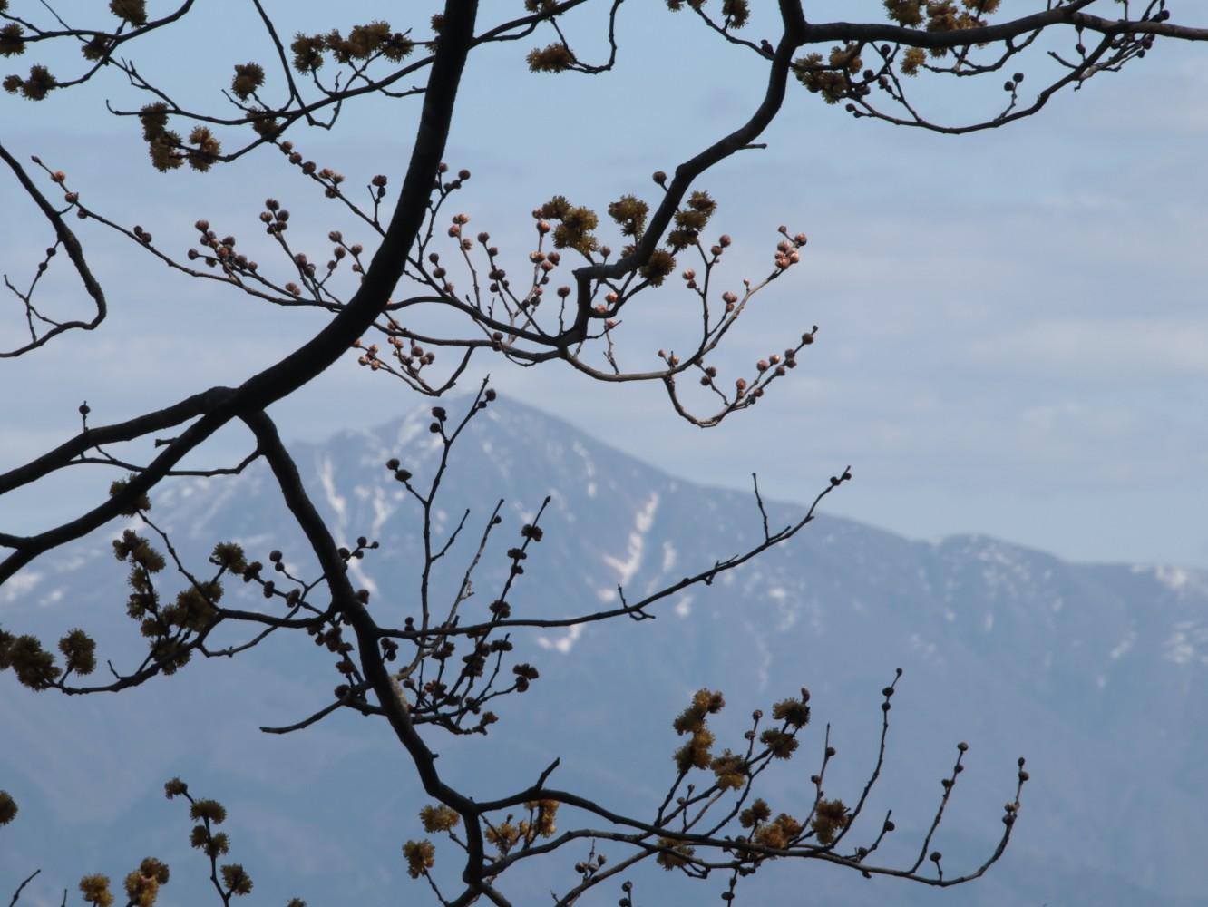 天子山山步 wt,8.6kg / toshiさんの天子山の活動データ | YAMAP / ヤマップ