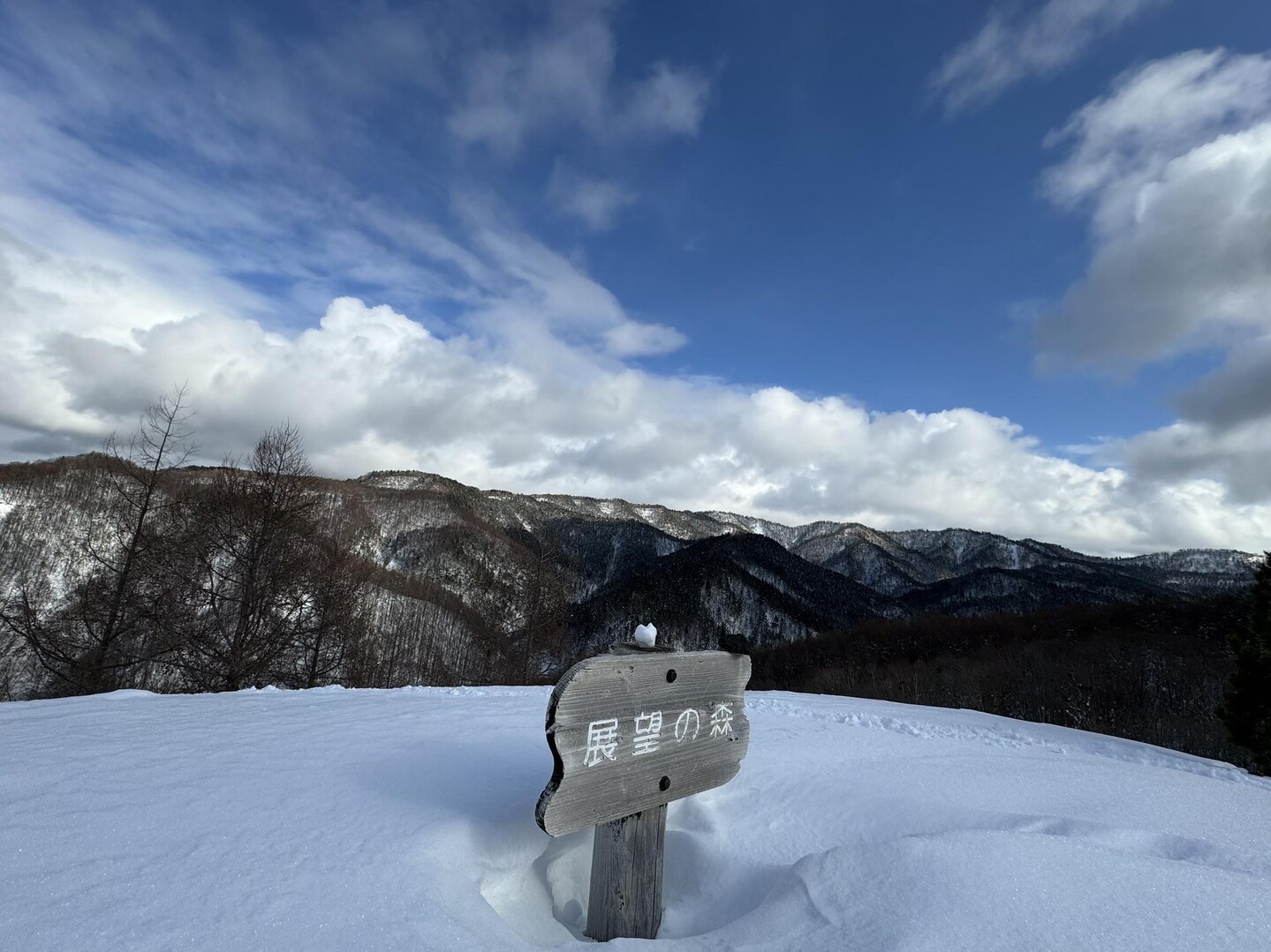 万字ズリ山 ️②ハイジを連れて…🤣 / mii500さんの幌向岳・ズリ山の活動データ | YAMAP / ヤマップ
