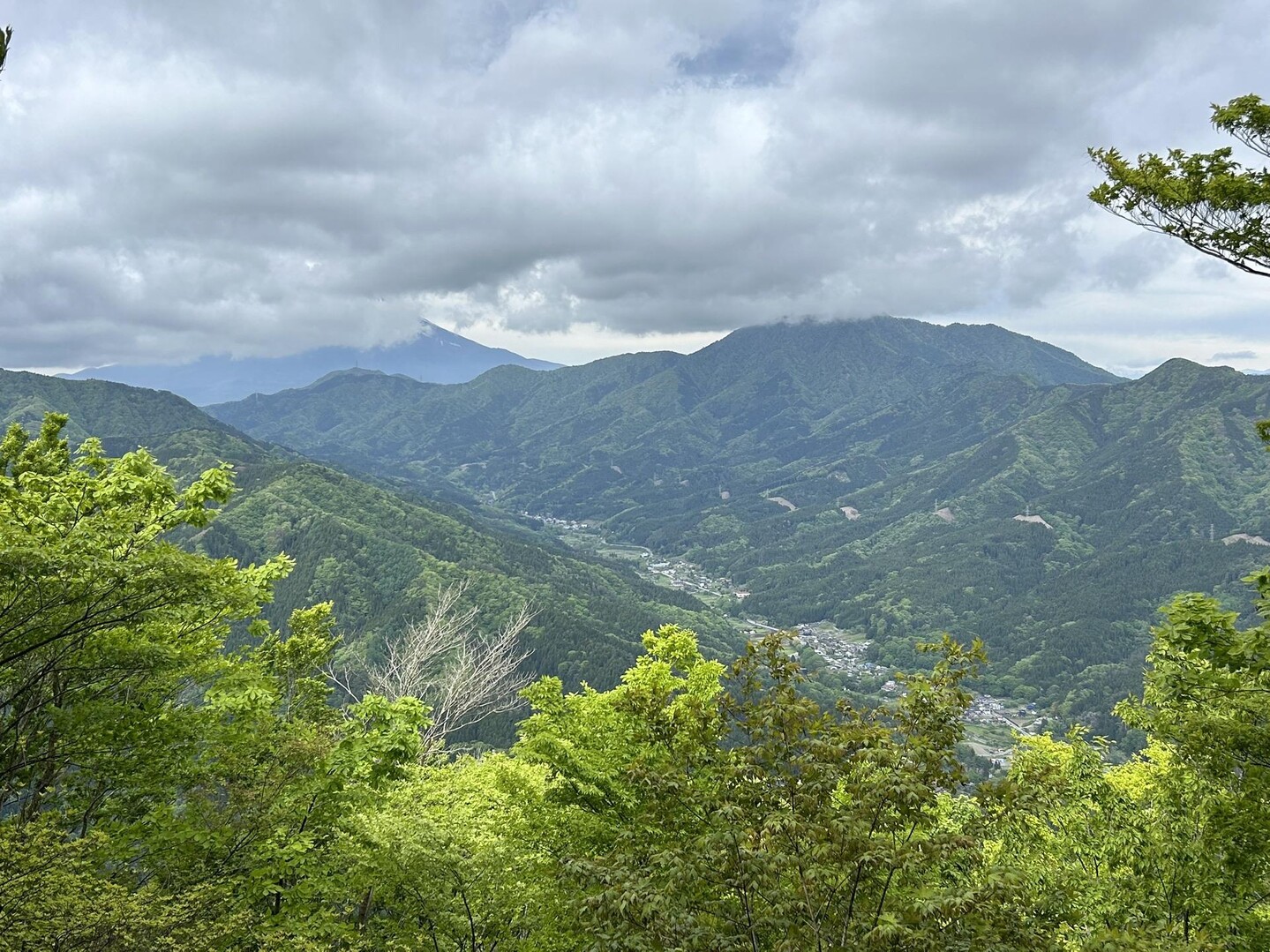 鳥ノ胸山・南峰・雑木ノ頭・平指山 / ritocotoさんの大室山・畦ヶ丸山・菰釣山の活動データ | YAMAP / ヤマップ