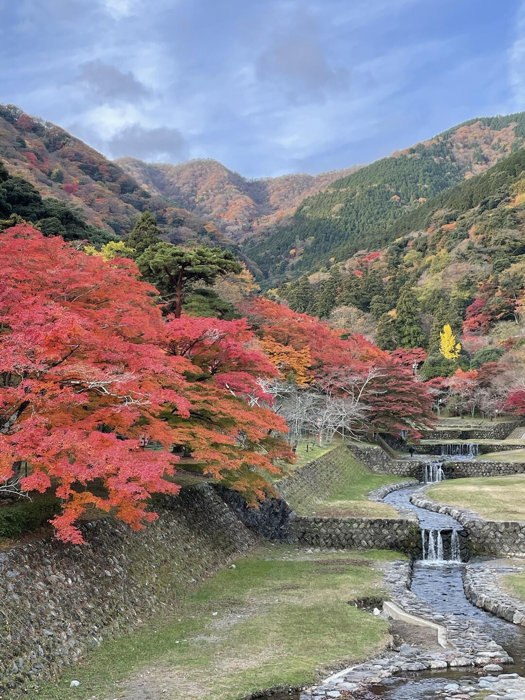 三方山・北尾根P826峰・小倉山・養老山・御当岳 / 澤田さんの養老山・笙ヶ岳・三方山の活動データ | YAMAP / ヤマップ