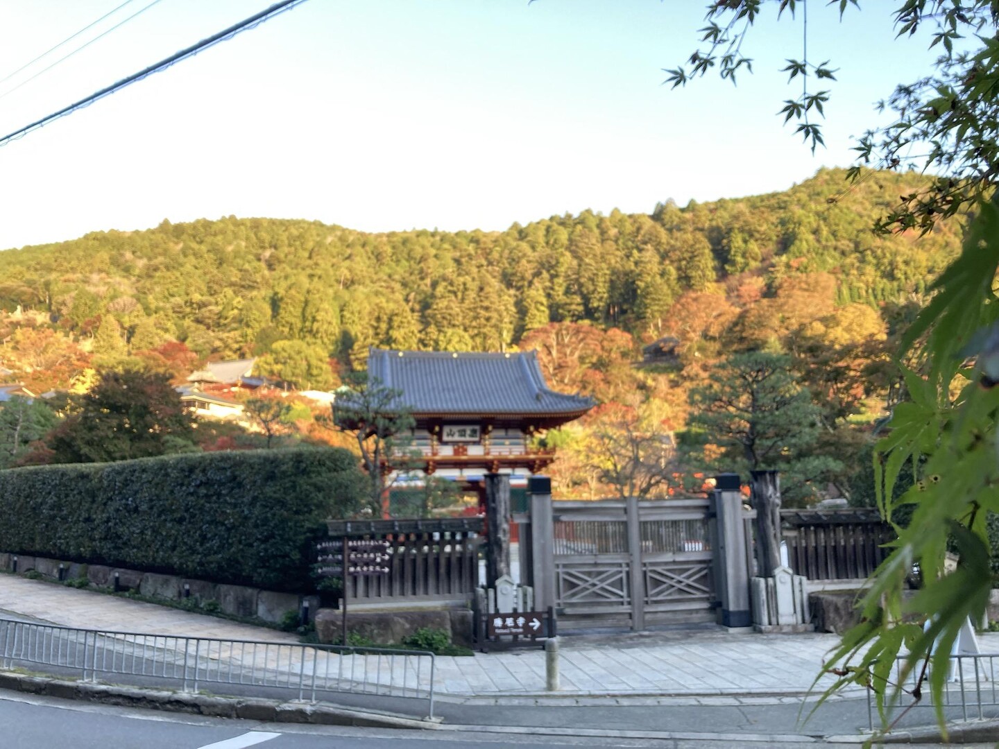 証如峰・最勝ヶ峰・勝尾寺南山 / お菓子なサーファーさんの六個山・鉢伏山・明ヶ田尾山・五月山の活動データ | YAMAP / ヤマップ
