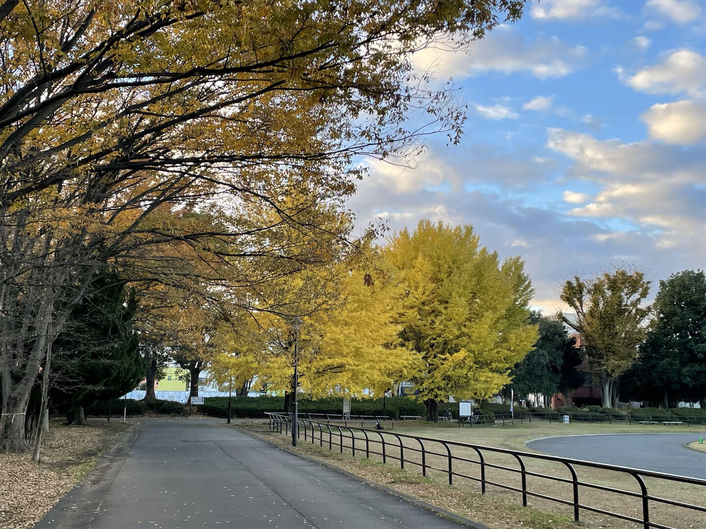 11/22-23の2日間で旧東海道を50... / enoさんのモーメント | YAMAP / ヤマップ