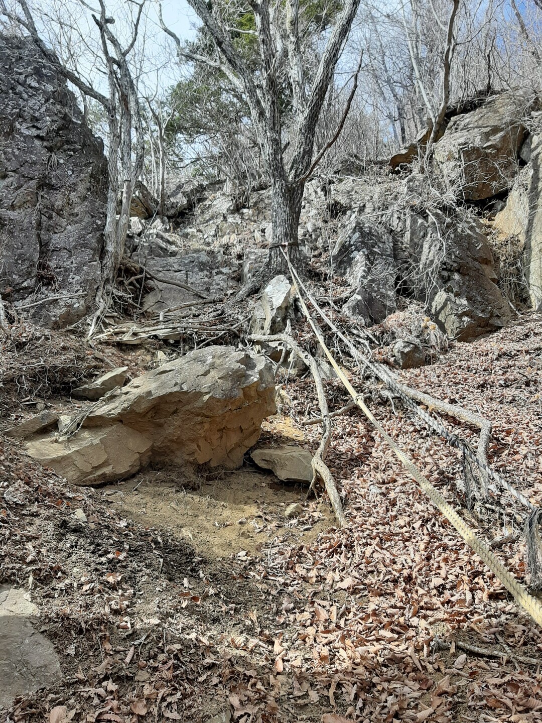 bitoonさんの投稿したフィールドメモ | YAMAP / ヤマップ