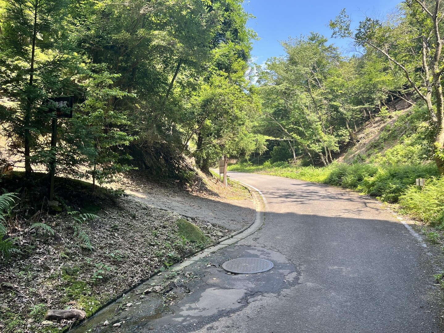 e nakaさんの投稿したフィールドメモ | YAMAP / ヤマップ