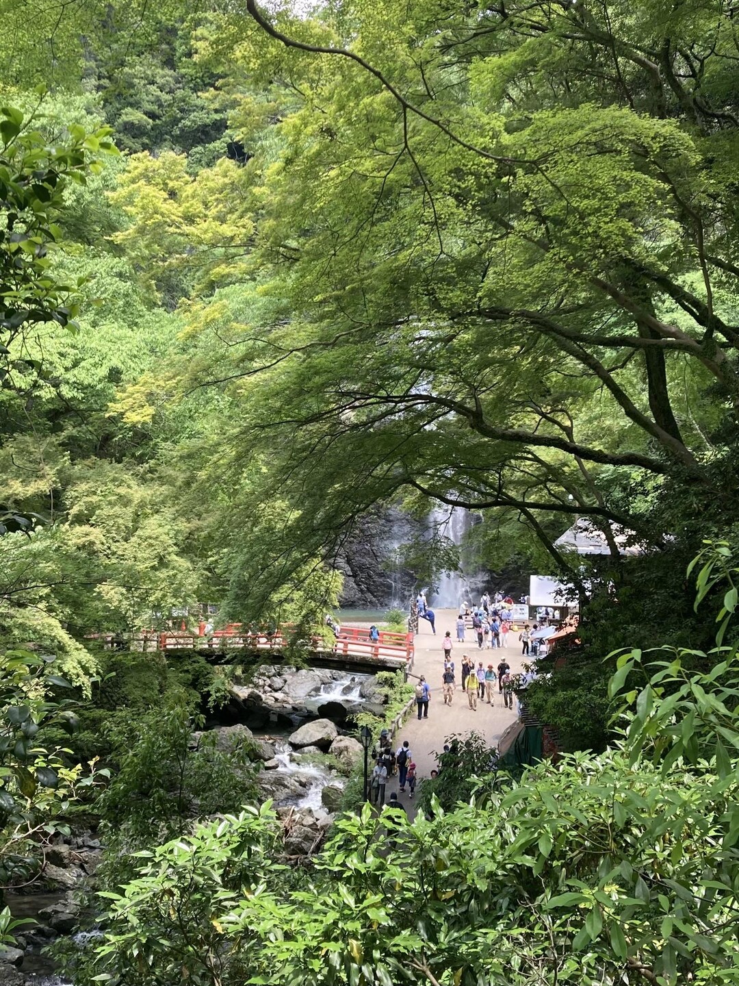 箕面の滝 2023-05-20 / TAKAKOさんのウォーキングの活動データ | YAMAP / ヤマップ