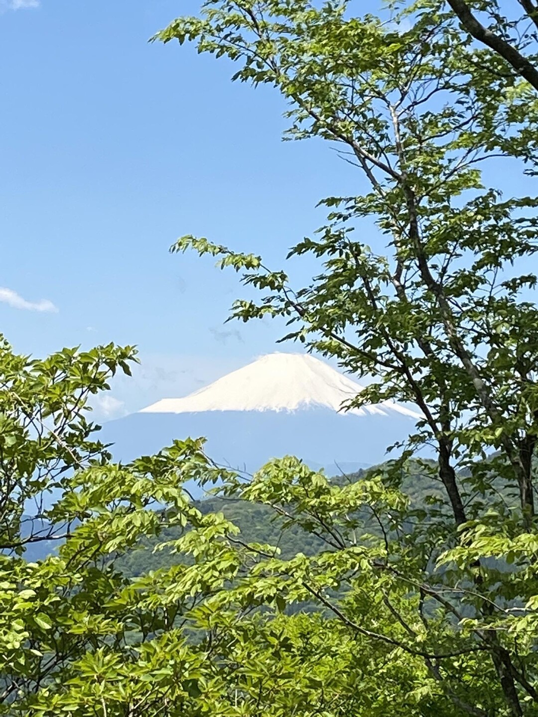 春嶽山・大山 / goqooさんの大山の活動データ | YAMAP / ヤマップ