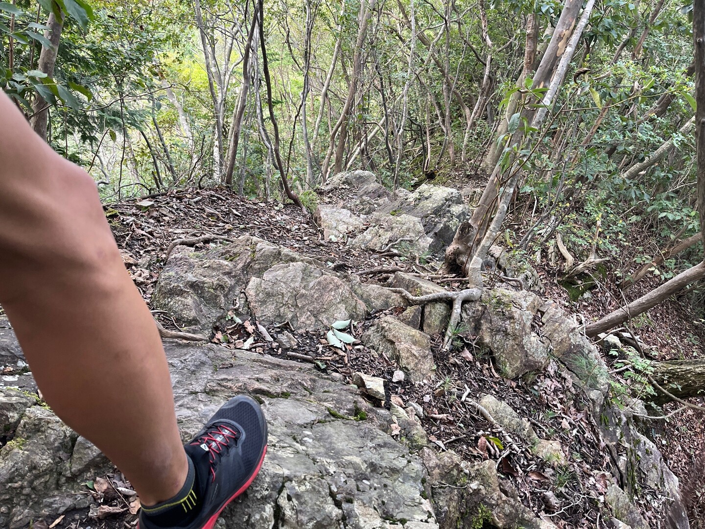 540P・長倉山_宇都宮トレイルラン / Dのやまあそびさんの古賀志山・赤岩山・鞍掛山・男抱山・半蔵山の活動データ | YAMAP / ヤマップ