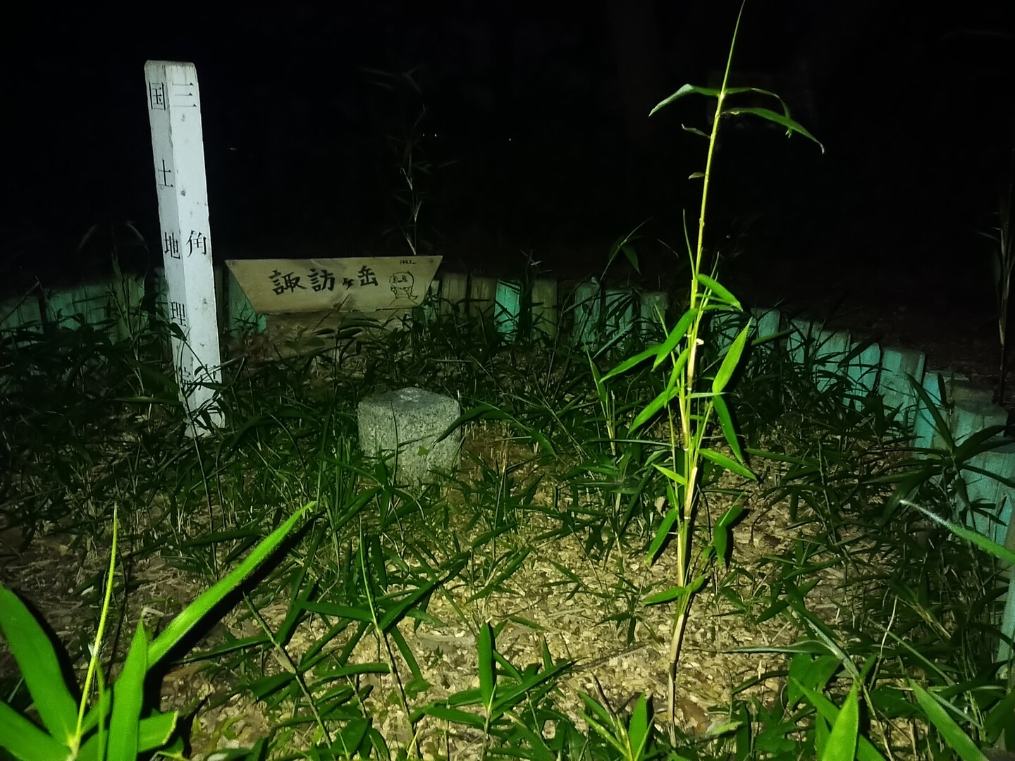 夜の諏訪が岳 / takeriさんの多摩市の活動データ | YAMAP / ヤマップ