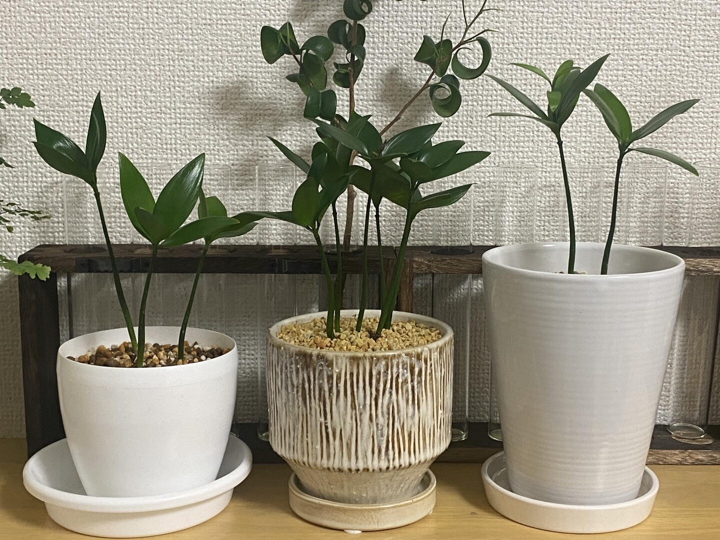 おはようございます😃 休日の隙間時間... / yagao🏔 さんのモーメント | YAMAP / ヤマップ