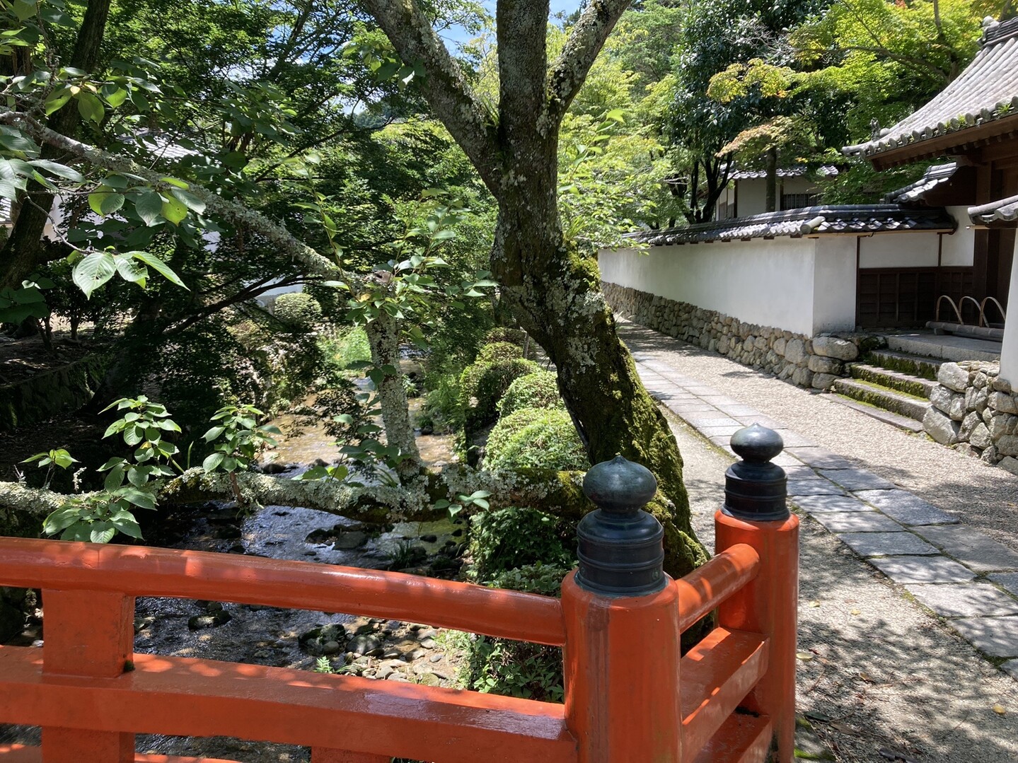 天野街道(陶器山) / penta360さんの堺市の活動データ | YAMAP / ヤマップ