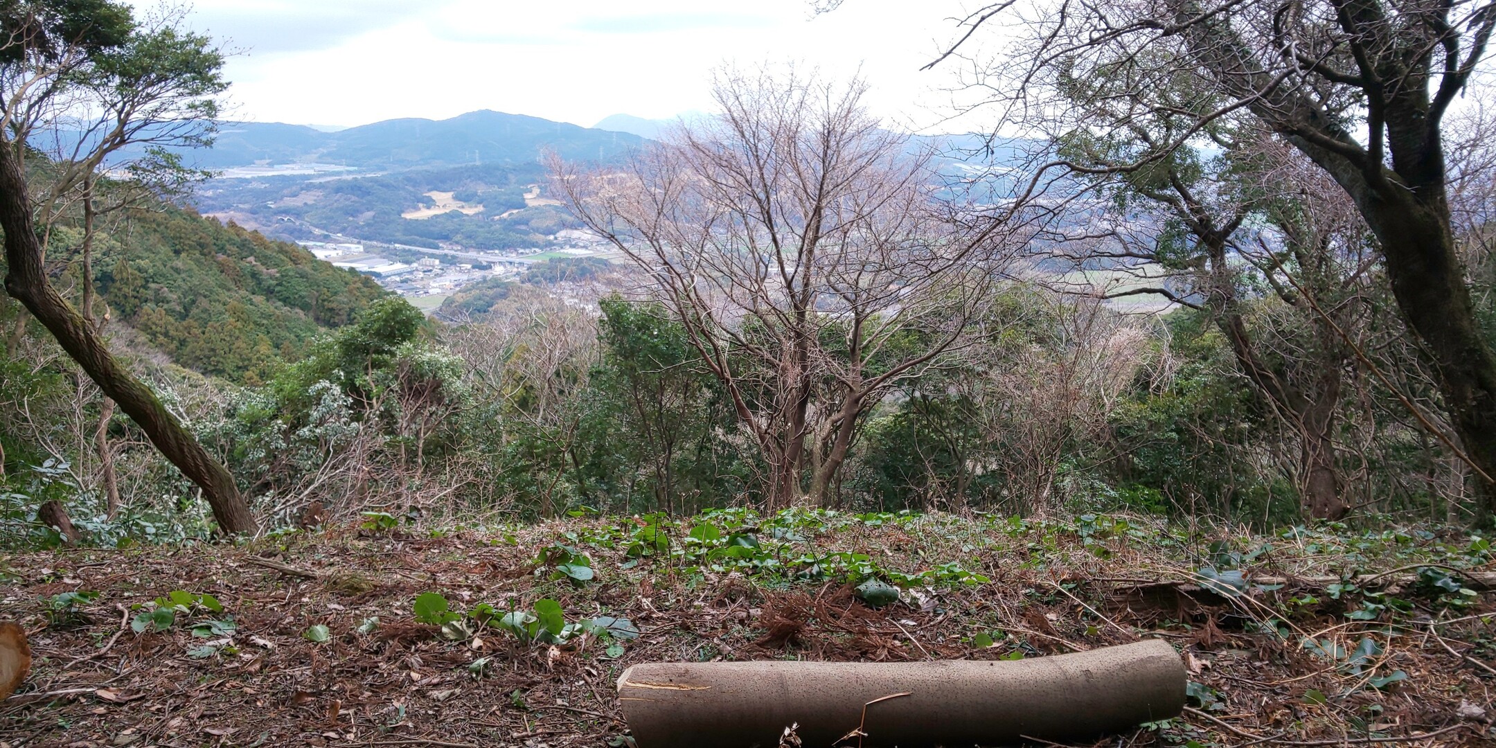 六ヶ岳・周回コース-2020-03-04 / k339さんの六ヶ岳の活動データ | YAMAP / ヤマップ