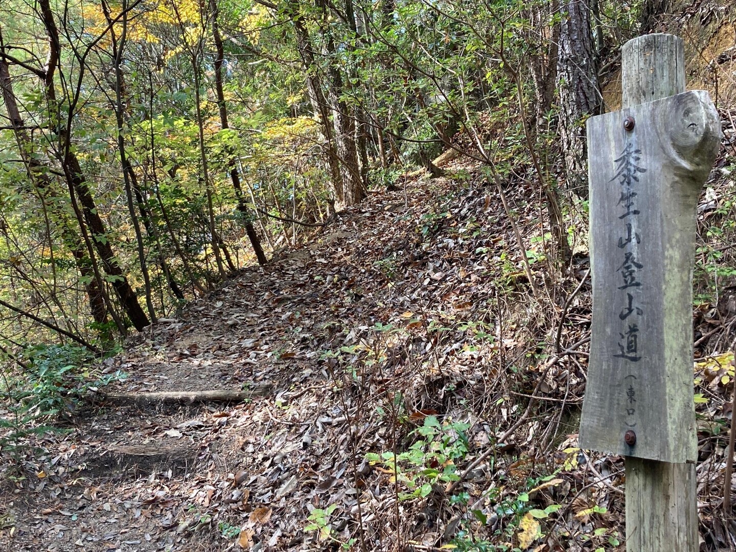 NORYさんの投稿したフィールドメモ | YAMAP / ヤマップ