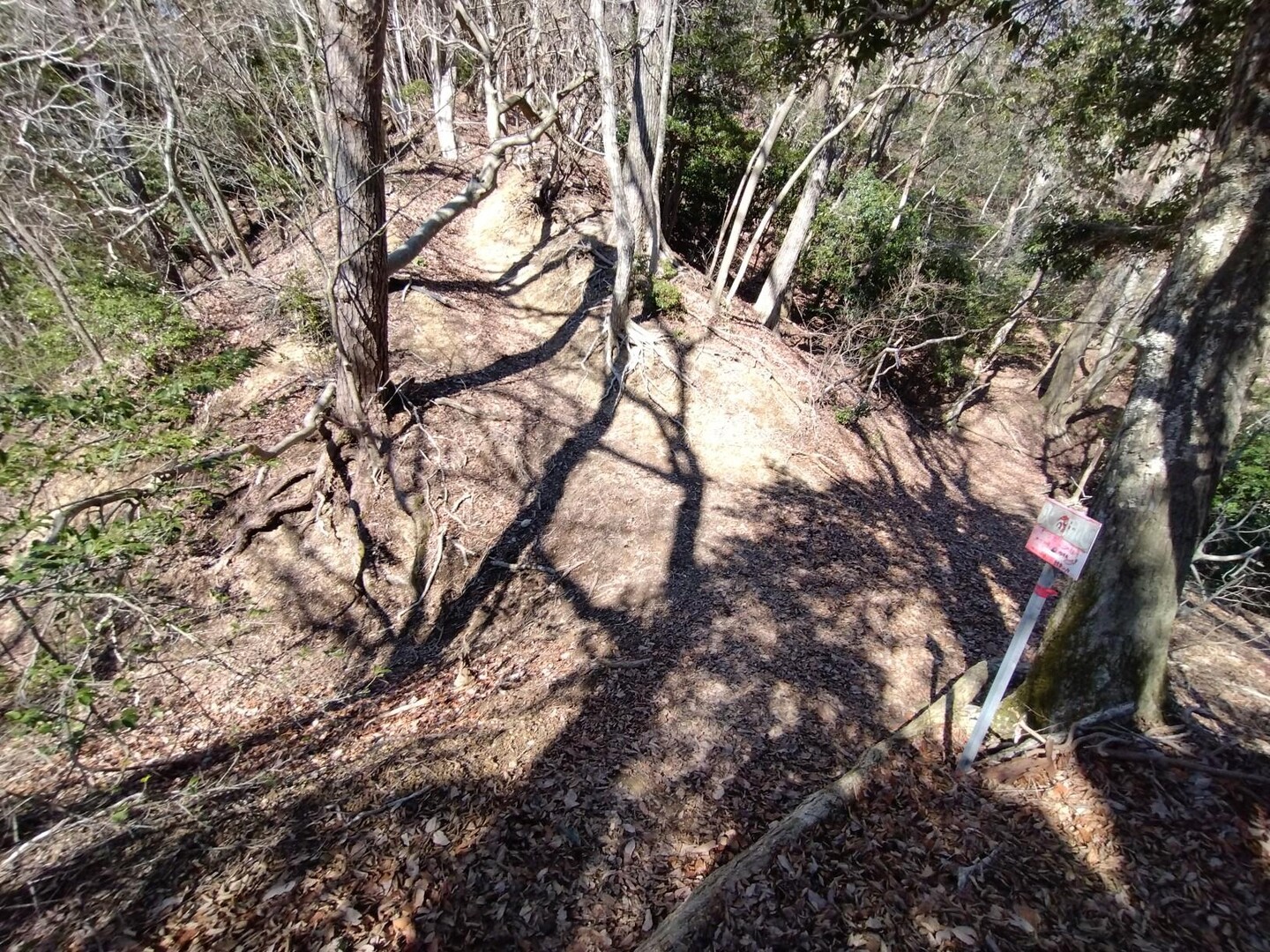 bambooさんの投稿したフィールドメモ | YAMAP / ヤマップ