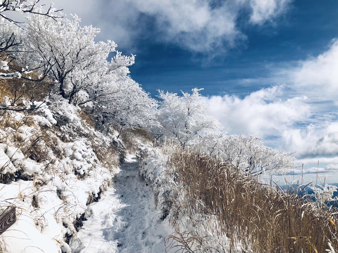 冬！雪！由布岳！ / Ascaさんの由布岳・鶴見岳の活動データ | YAMAP / ヤマップ