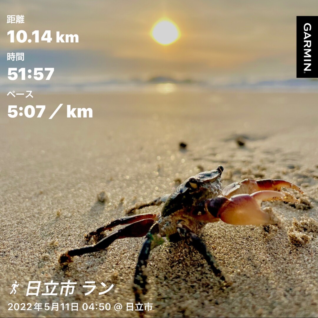 今日の朝RUN😎 また蟹さんと出会いま... / ma-sa45さんのモーメント | YAMAP / ヤマップ
