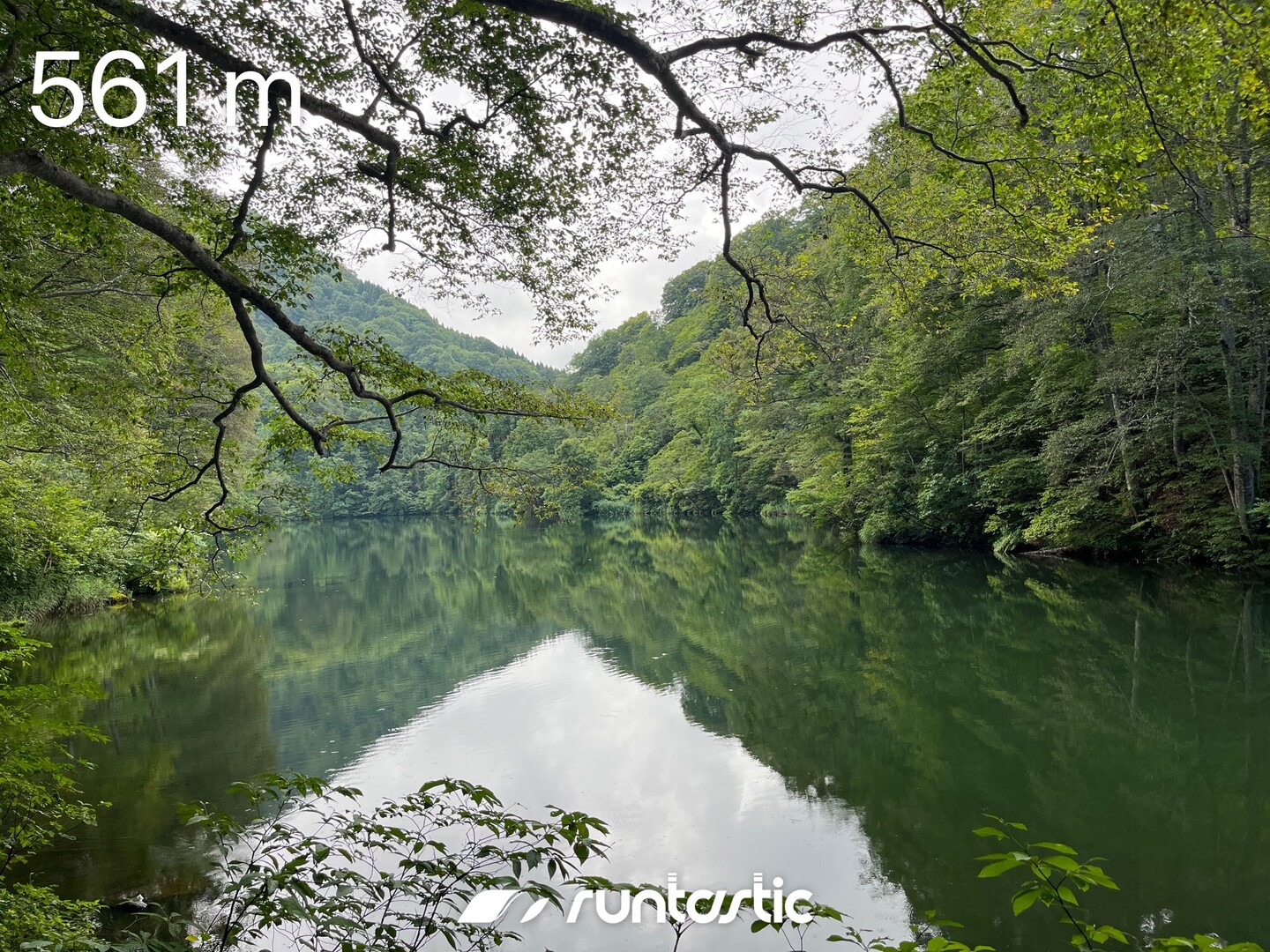 番屋山〜雨あがりの雨生池 / Natty Mt.さんの番屋山の活動データ | YAMAP / ヤマップ