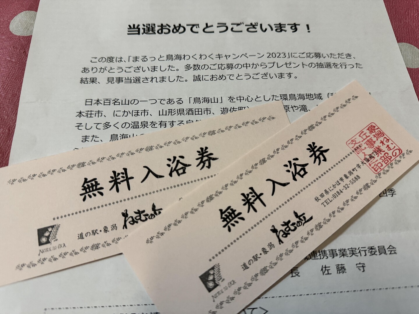 Xmasプレゼントは・・・ まるっと鳥... / tomo65さんのモーメント | YAMAP / ヤマップ