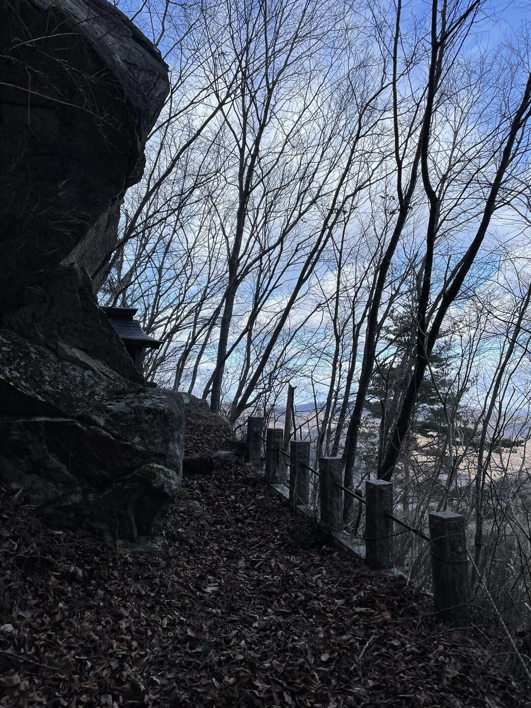 懸の森・毘沙目木へ山行 / sammyくんさんの南相馬市の活動データ | YAMAP / ヤマップ