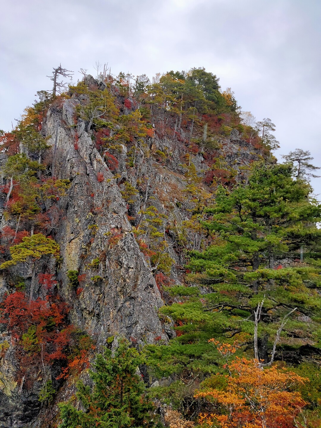 埼玉百名山 赤岩岳 / kooさんの天丸山・南天山の活動データ | YAMAP / ヤマップ