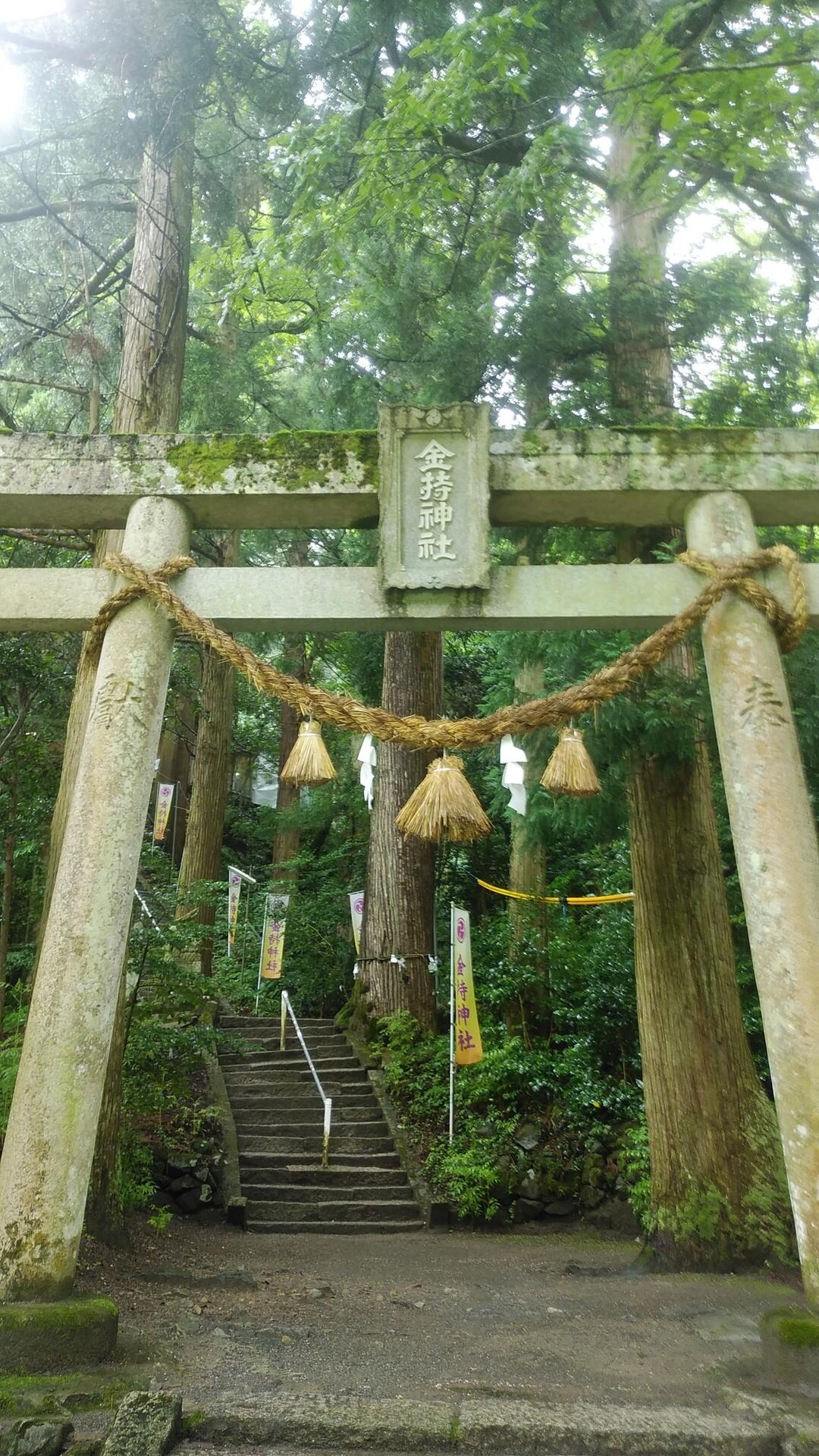 ヤマヒロ1215のページ | YAMAP / ヤマップ