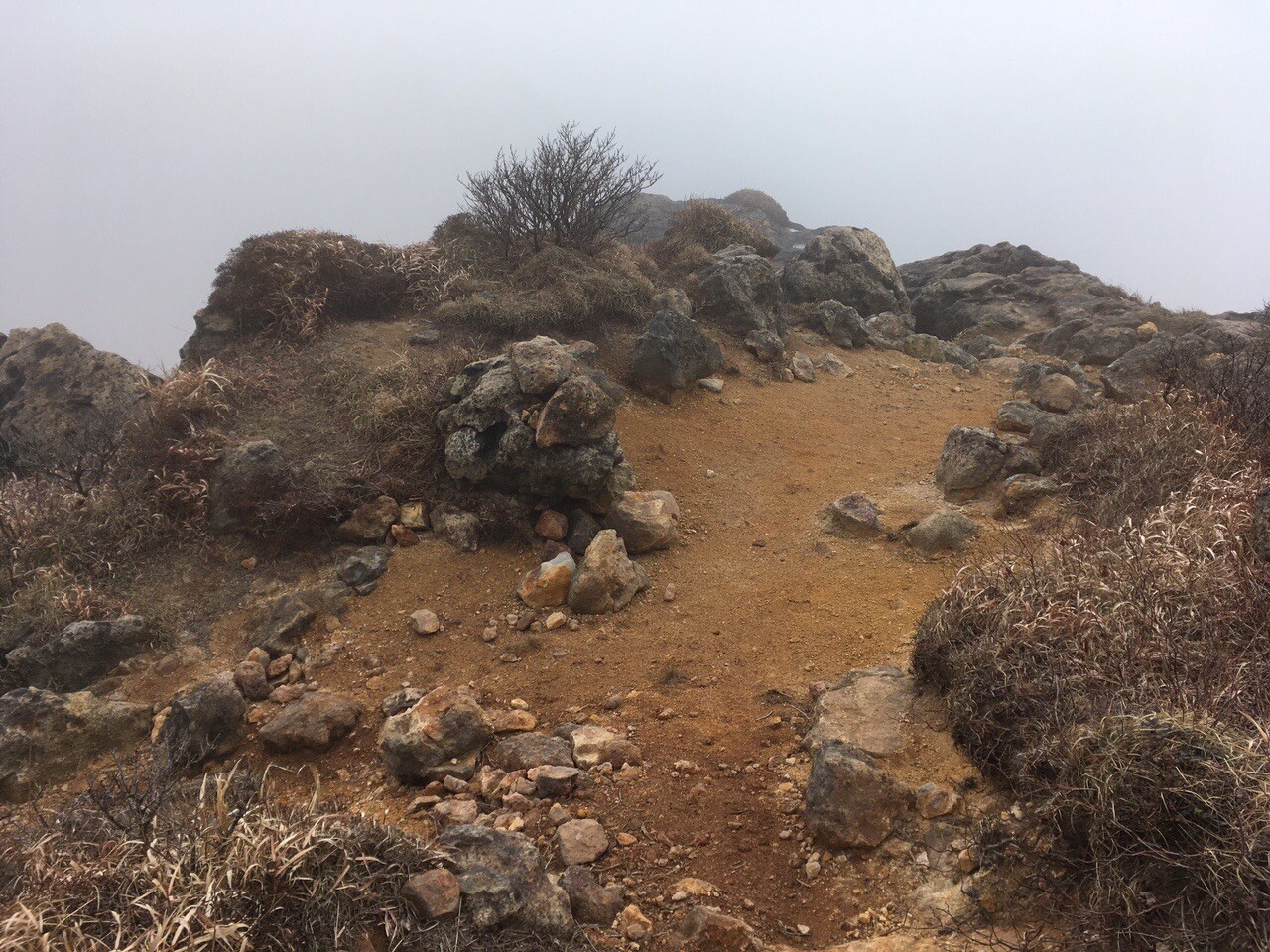 yuccoさんの投稿したフィールドメモ | YAMAP / ヤマップ