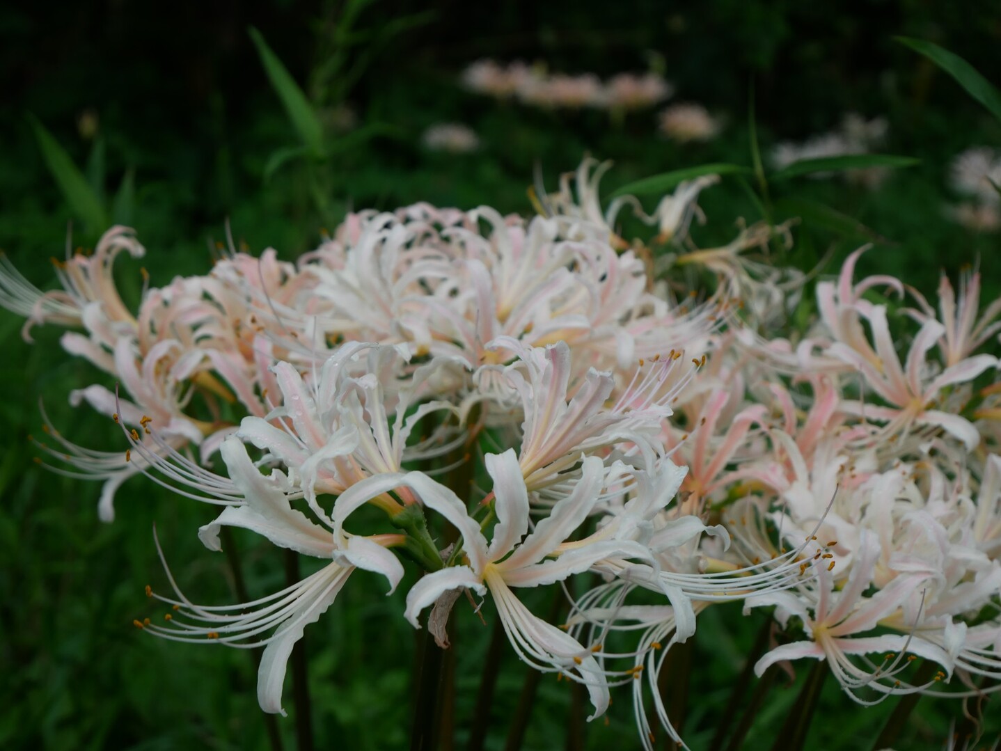 最強の台風が接近中。家の周囲を最終点検し... / yossyさんのモーメント | YAMAP / ヤマップ