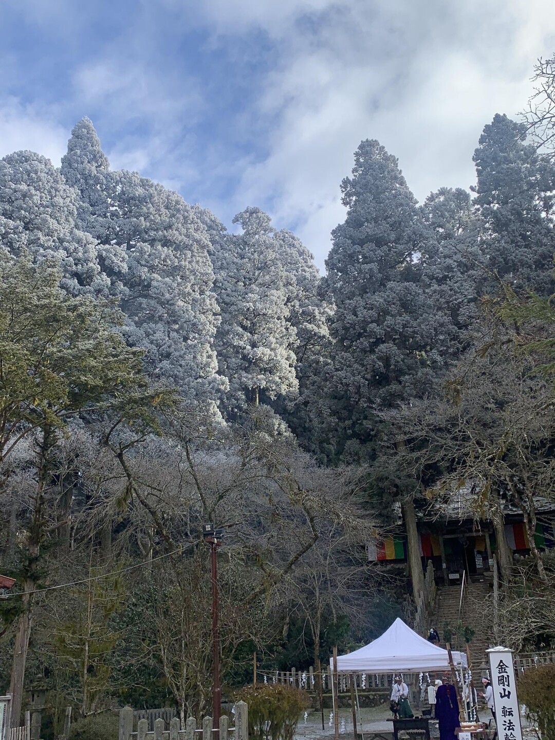 初登り金剛山 寺谷〜千早本道 / iwanemanさんの金剛山・二上山・大和葛城山の活動データ | YAMAP / ヤマップ