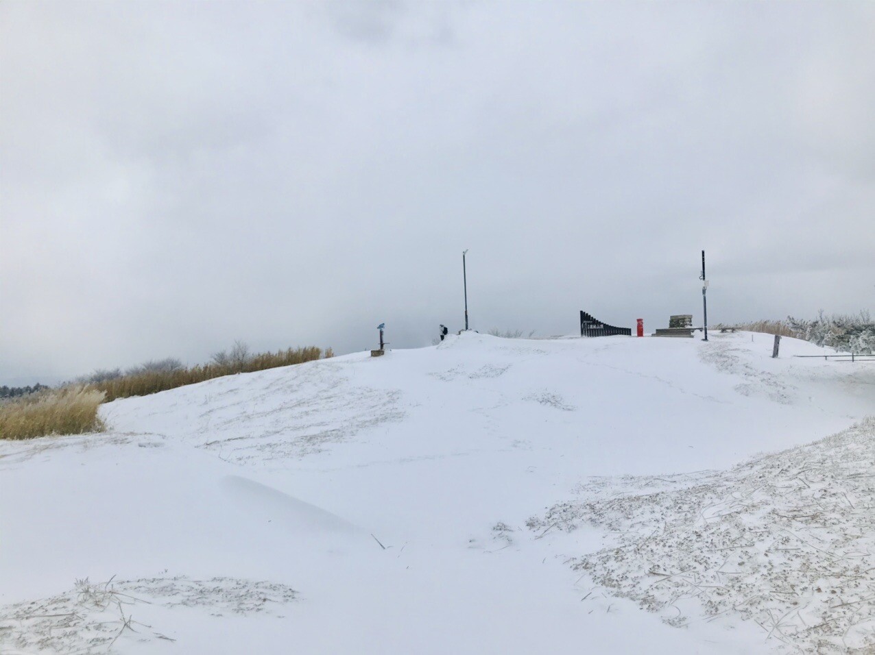 大和葛城山 / penta360さんの金剛山・二上山・大和葛城山の活動データ | YAMAP / ヤマップ