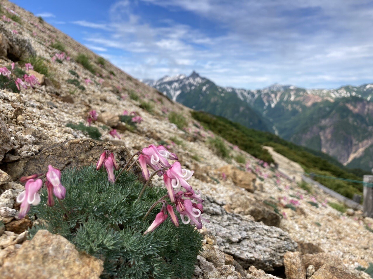 梅雨明けだ 夏山だ 燕岳だ / t. katoさんの燕岳・餓鬼岳・唐沢岳の活動データ | YAMAP / ヤマップ