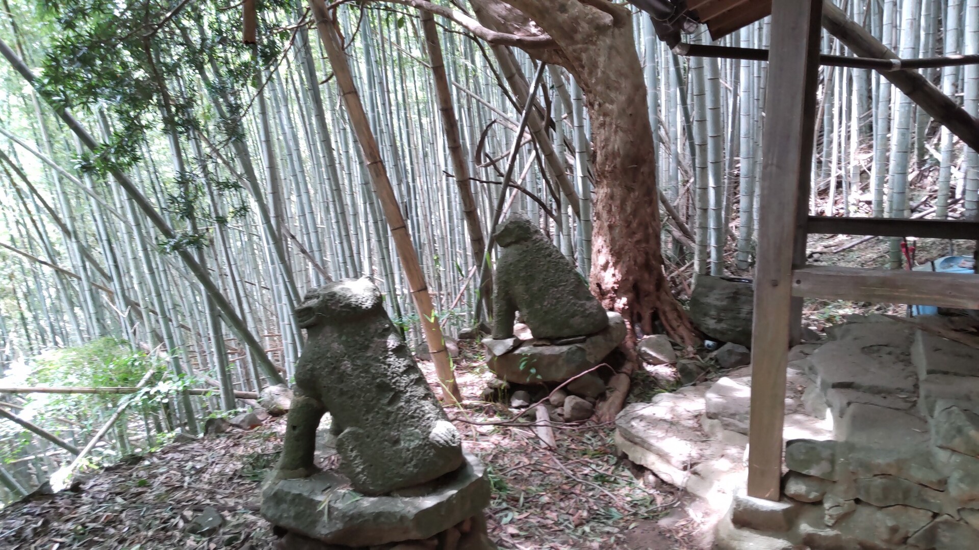 八気山・烽火山・健山 / issaさんの金比羅山・烽火山・英彦山の活動データ | YAMAP / ヤマップ