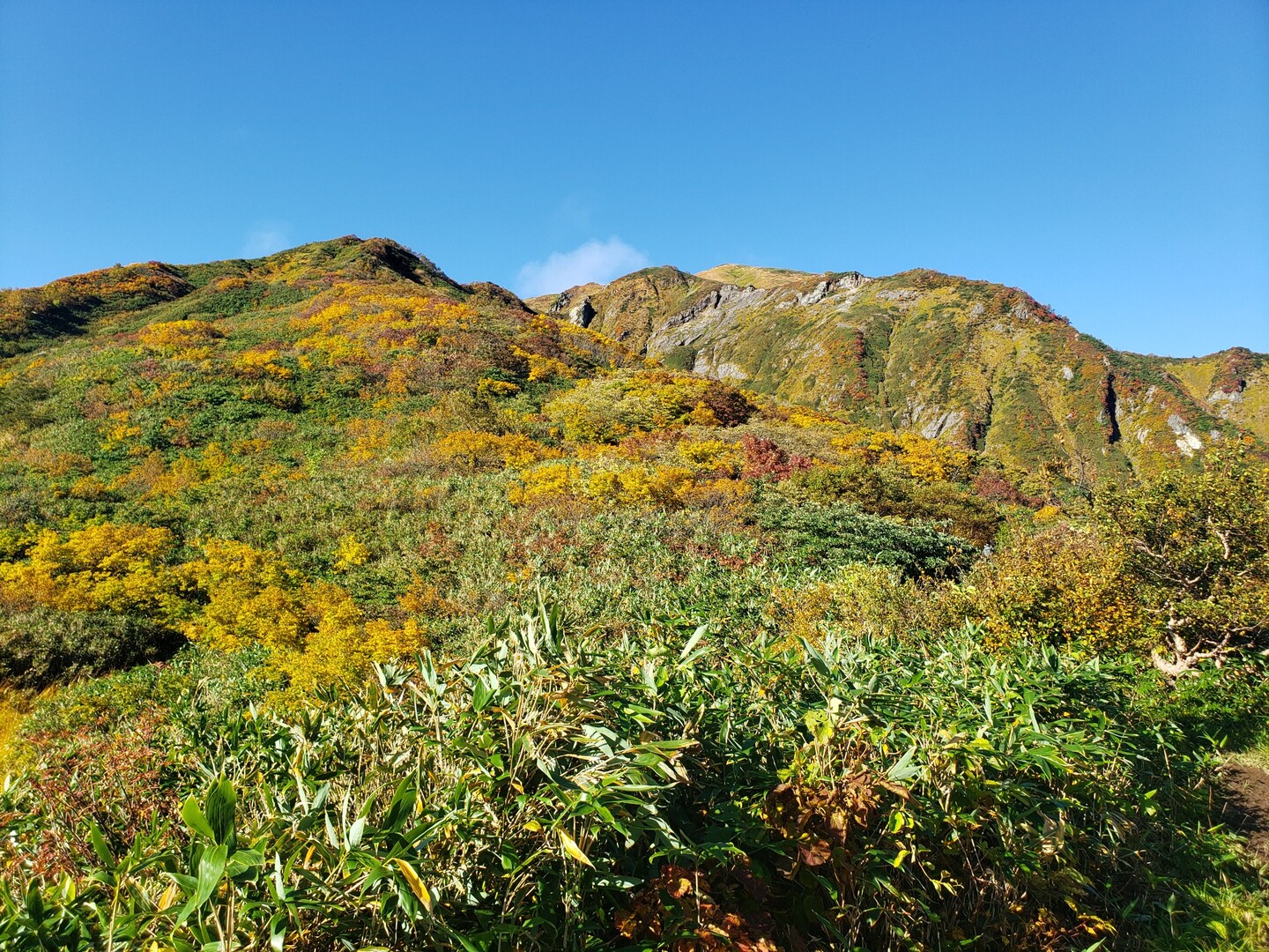 越後駒ヶ岳・道行山・小倉山 / 越後駒ヶ岳・八海山・荒沢岳の写真17枚目 | YAMAP / ヤマップ