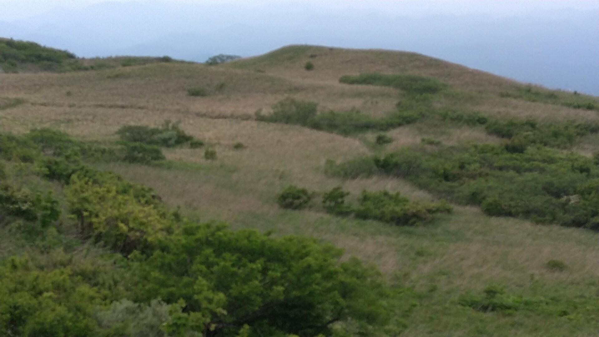 男三瓶山(三瓶山) / harusanさんの三瓶山・大平山の活動データ | YAMAP / ヤマップ